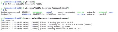 Mobsf Apk