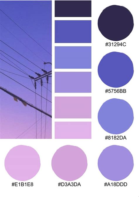 Purple And Blue Color Palette