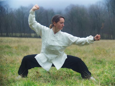 Handmade Wudang Winter Tai Chi Uniform Internal Wudang Store