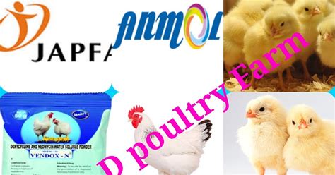 Ld Poultry Farm Bhagalpur Bihar India Poultry Farming In Bhagalpur