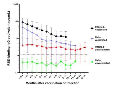 Waning Of Antibody Levels Following Sars Cov 2 Infection Or Vaccination