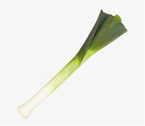 Leek Png Koleksi Gambar