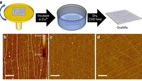 Graphene Made From Dna Could Shape Electronics Ars Technica