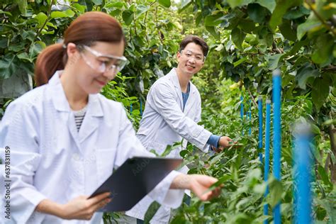 한국 의료 메디컬 태블릿피씨를 들고 농촌 농장에서 농작물 고추 상태를 체크하고 있는 젊은여자와 카메라 응시하며 미소짓고 있는