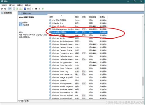 Web Deploy 部署任务失败解决方案cannot Deploy C1s Web Userweb Deploy Is Failing Web Deploy 部署任务失败解决方案cannot Deploy C1s Web Userweb Deploy Is Failing