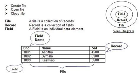 C Program Using Fopen Filesgold