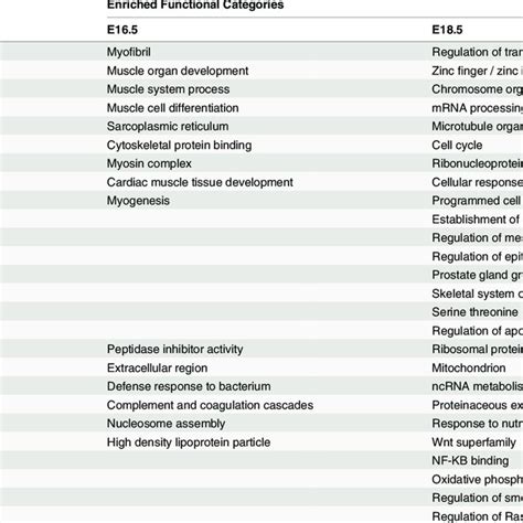 Functional Categories Enriched In Rna Seq Comparison Of E16 5 And E18 5 Download Table