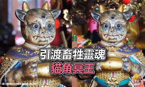 旺好運 東洋命相館 想祭拜就用罐罐！「貓角冥王」專門拯救動物靈魂｜旺好運