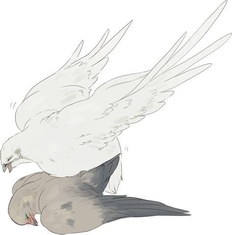 Rule 34 Ambiguous Gender Avian Beak Bird Blush Closed Eyes Duo Feral