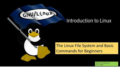 Introduction To Linux Filesystem And Basic Commands For Beginners Youtube