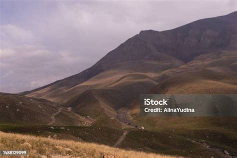 산 풍경 흐린 하늘과 황금빛 태양 광선 노란 초원이 있는 가을날 구릉이 많은 경사면이 있는 장엄한 어두운 산등성이 다게 스탄의 숨막히는 관광 가을에 대한 스톡 사진 및 기타