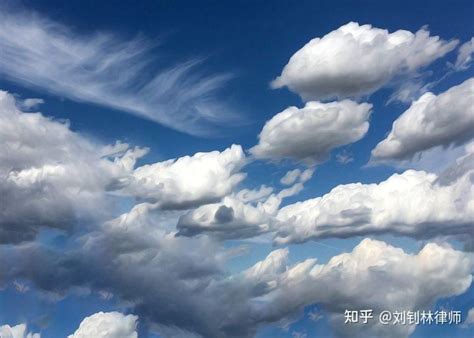 超员、超速类危险驾驶罪的认定——危险驾驶罪问题研究（四） 知乎
