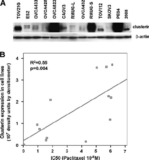 Correlation Of Clusterin Expression And Paclitaxel Resistance A