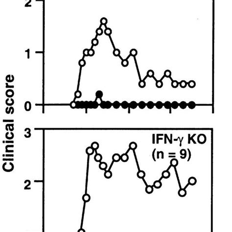 Cd4 T Cells From Ifn γ Ko Mice Were Required For Adoptive Transfer Of Download Scientific
