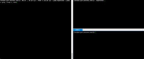 【linux进程】查看进程fork创建进程