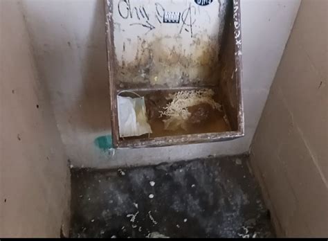 Fe Fi Faux Farm ThisVid Com