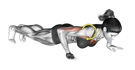 Push Up Elbow Pain Potential Reasons Inspire US
