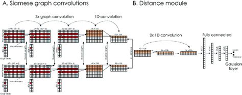 Schematic Representation Of The Models Architecture A Siamese Graph
