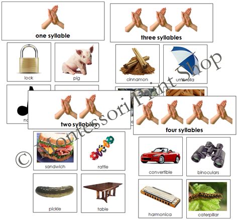 Syllable Sorting Cards Primary Language Made By Teachers