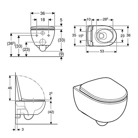 Geberit Selnova Concealed Wc Cistern With Wall Hung Frame Toilet