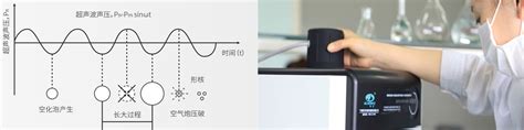 宁波新芝scientz Iid正品自营细胞粉碎机scientz Iid超声波低价