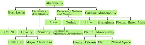Constructed Label Hierarchy From The Plco Dataset Download