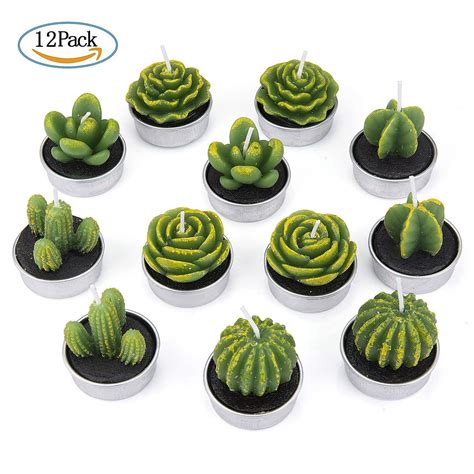 ZeWoo 12 Piezas Velas En Forma De Planta Hechas A Mano Delicadas