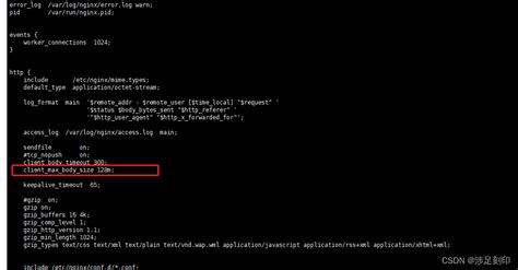 Docker Compose 修改masterlab上传限制问题修改docker Push上传大小设置 Csdn博客