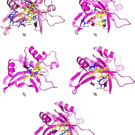 Molecular Docking Interactions Of The Best Compounds Download