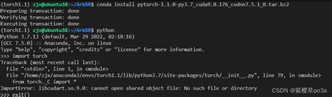 Torch Csdn