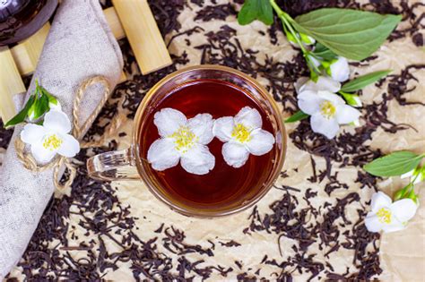 밝은 배경에 흰색 재스민 꽃이있는 유리 컵의 신선한 유기농 아로마 허브 차의 최고 전망 0명에 대한 스톡 사진 및 기타 이미지 0명 갈색 건강한 생활방식 Istock