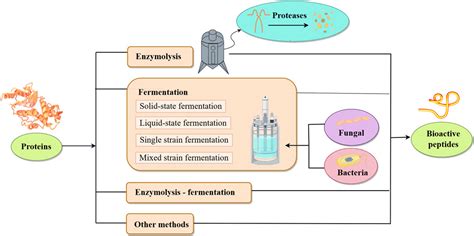 Frontiers Research Progress On Fermentation Produced Plant Derived