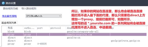 请问如何只让我自己设置的网站走代理，其他一律直连 · Issue 1235 · 2dustv2rayn · Github