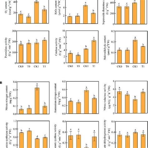 Contents Of O 2 H 2 O 2 Mda Antioxidant Enzyme Activities A And