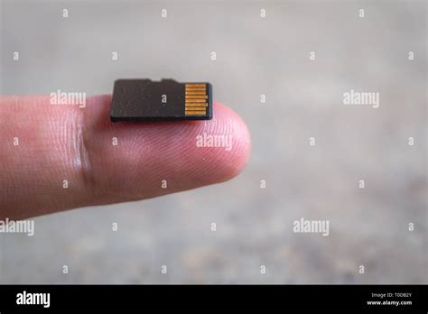 A Micro SD Memory Card Compared To The Size Of A Finger Stock Photo Alamy