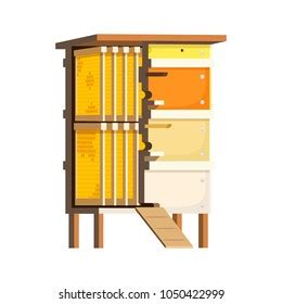 Structure Hive Section Stock Vector Royalty Free 1050422999 Shutterstock