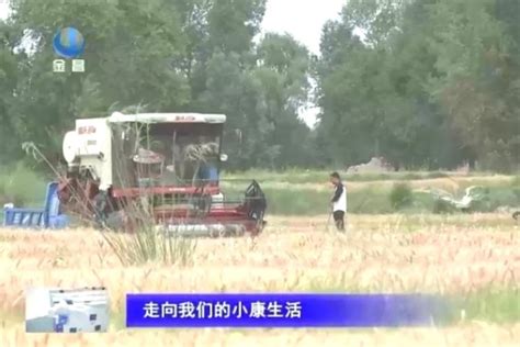 金昌六坝镇南庄村：致富路上闻麦香凤凰网视频凤凰网