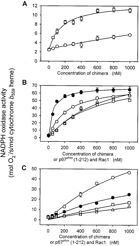Nadph Oxidase Activation By P67 Phox Rac1 Chimeras 1 3 A Oxidase