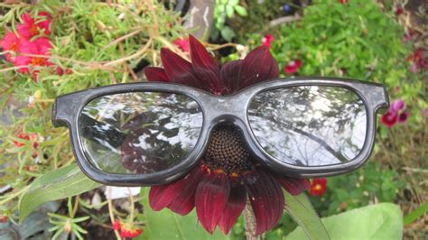 Mzteachuh The Futures So Bright I Gotta Wear Shades