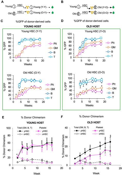 An Age Progressive Platelet Differentiation Path From Hematopoietic