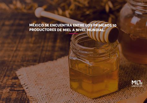 MÉxico Se Encuentra Entre Los Primeros 10 Productores De Miel A Nivel