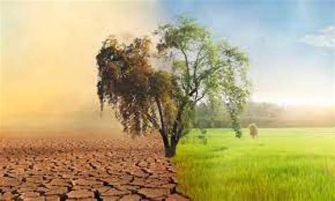 Lo Que Hay Que Saber Sobre El Cambio Climático Y La Contaminación