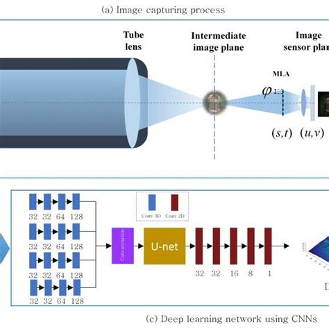 A 3d Reconstruction Network Based On Deep Learning Of An Iim System Download Scientific Diagram