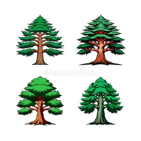 Bold Cedar Tree Illustration Design Stock Vector Illustration Of