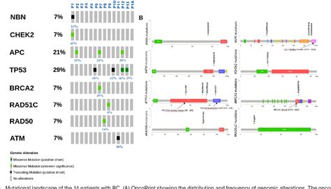 Figure 1 From Targeted Gene Panel Sequencing Unveiled New Pathogenic Mutations In Patients With