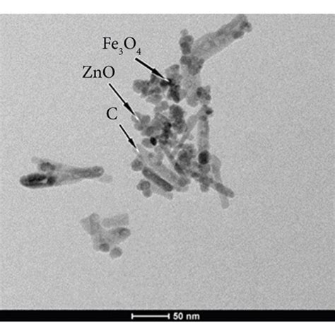 Ftir Spectra Of Fe3o4zno And Fe3o4znoc Nanocomposites Download
