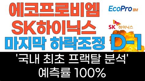 긴급 에코프로비엠 Sk하이닉스 마지막 하락 조정 D 1 Youtube