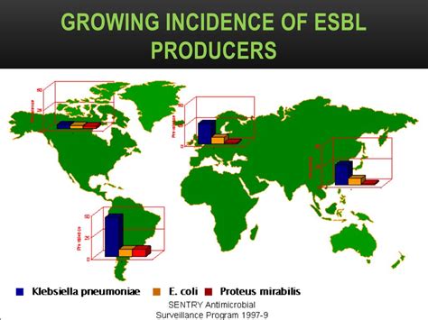 Ppt Extended Spectrum B Lactamases Esbl Basis Detection And Reporting Powerpoint