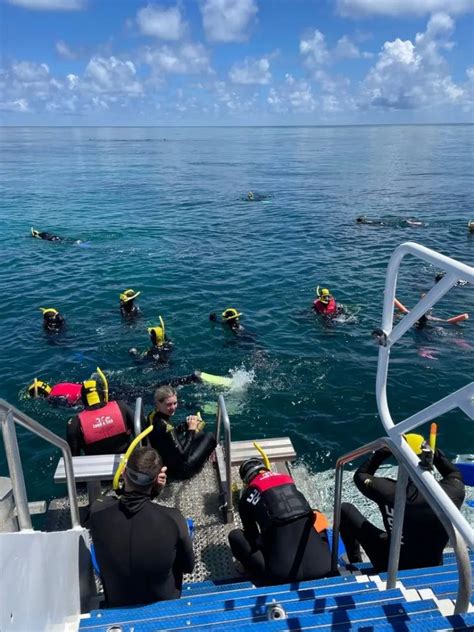 호주 케언즈 그레이트 베리어 리프 당일 Vs 1박2일 총 4개 업체 비교 And 할인 Tip And 날씨 네이버 블로그