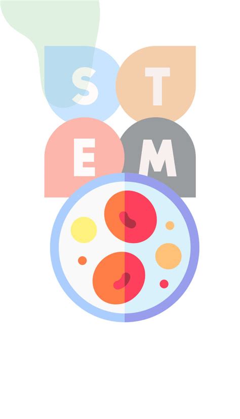 Stem Cell For Orthopedic Conditions 2023 All You Need To Know